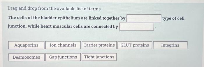 Solved Drag and drop from the available list of terms. The | Chegg.com