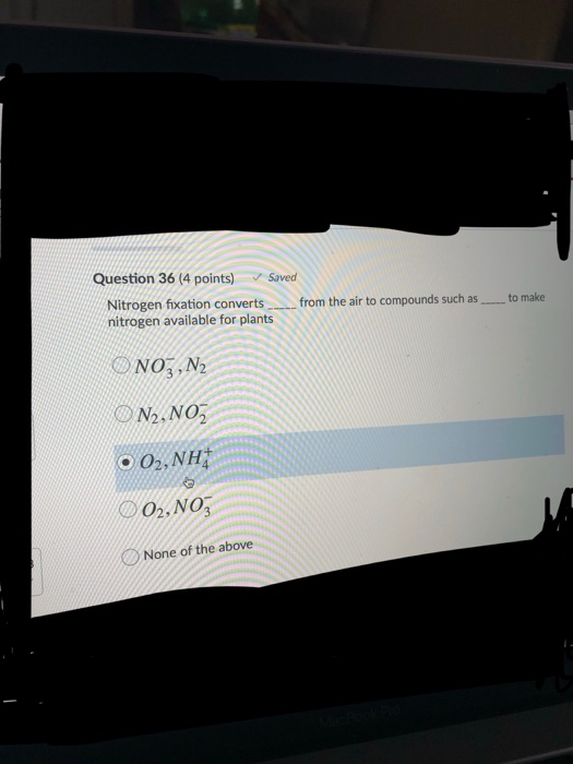 Solved Question 36 (4 points) Saved Nitrogen fixation | Chegg.com