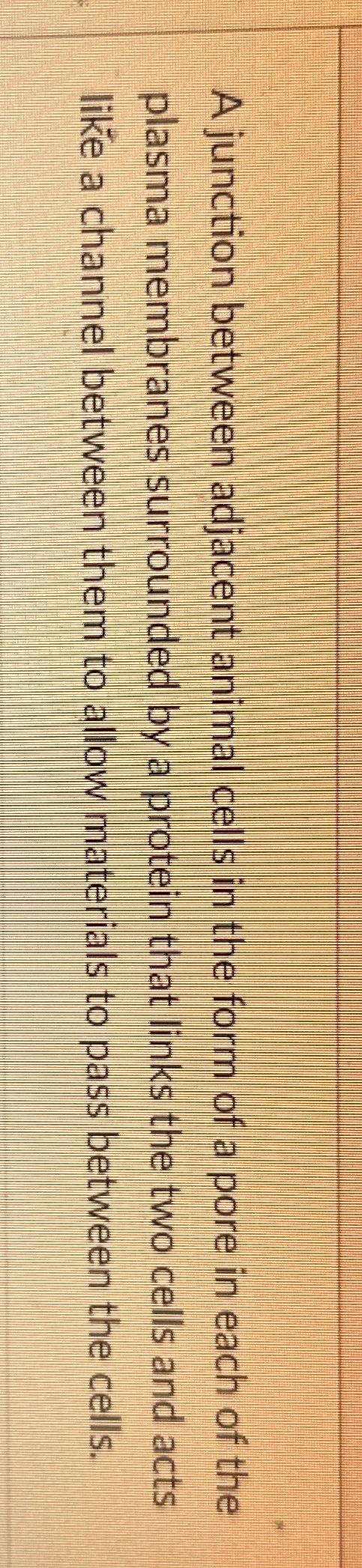 Solved A junction between adjacent animal cells in the form | Chegg.com