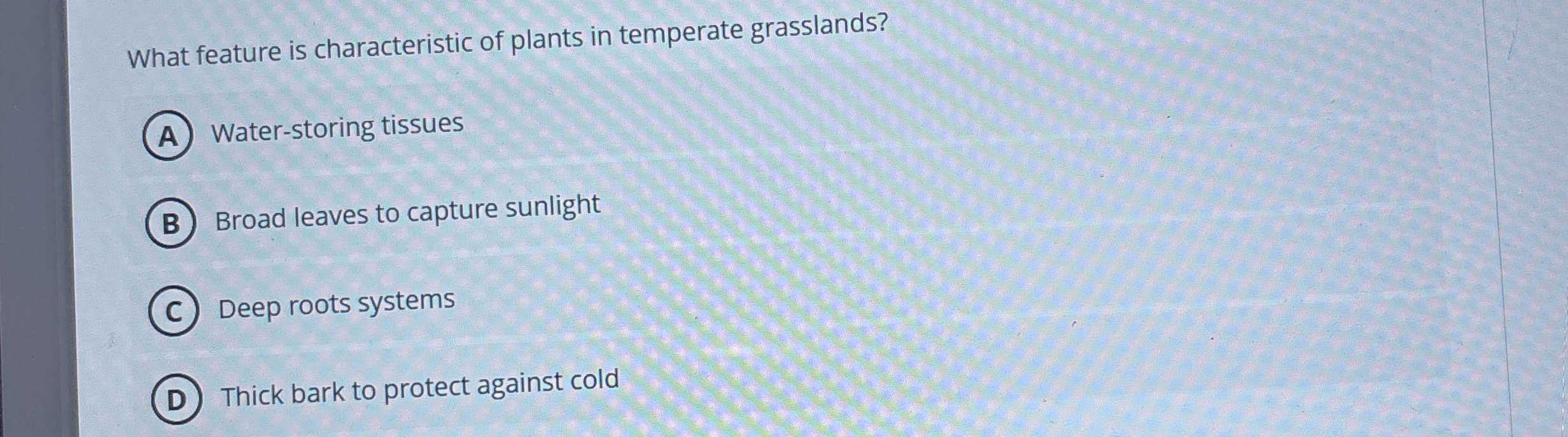 Solved What feature is characteristic of plants in temperate | Chegg.com