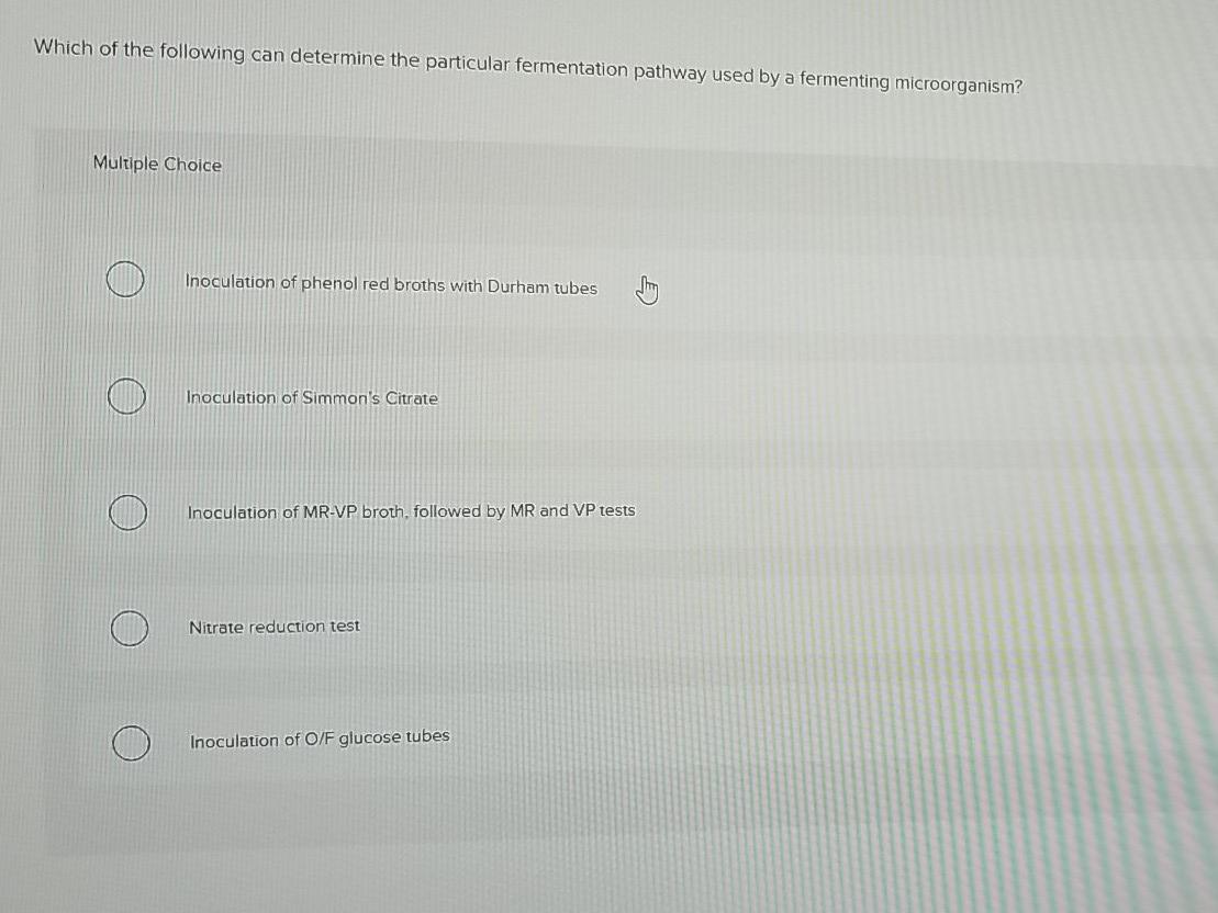 Solved You have inoculated a tube of SIM | Chegg.com