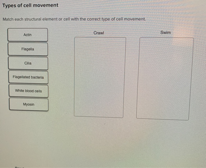 Solved Types of cell movement Match each structural element | Chegg.com