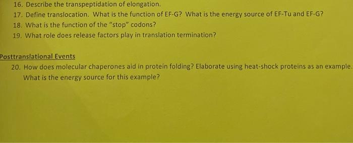 Solved 16. Describe the transpeptidation of elongation. 17. | Chegg.com