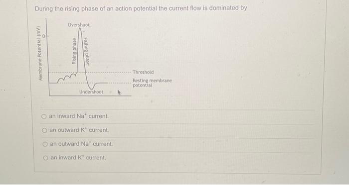 Solved During the rising phase of an action potential the | Chegg.com