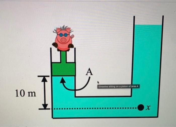 Solved Einswine (m=236 kg) sits on top of a massless piston | Chegg.com