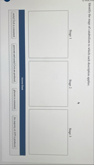 Solved Identify the stage of catabolism to which each | Chegg.com