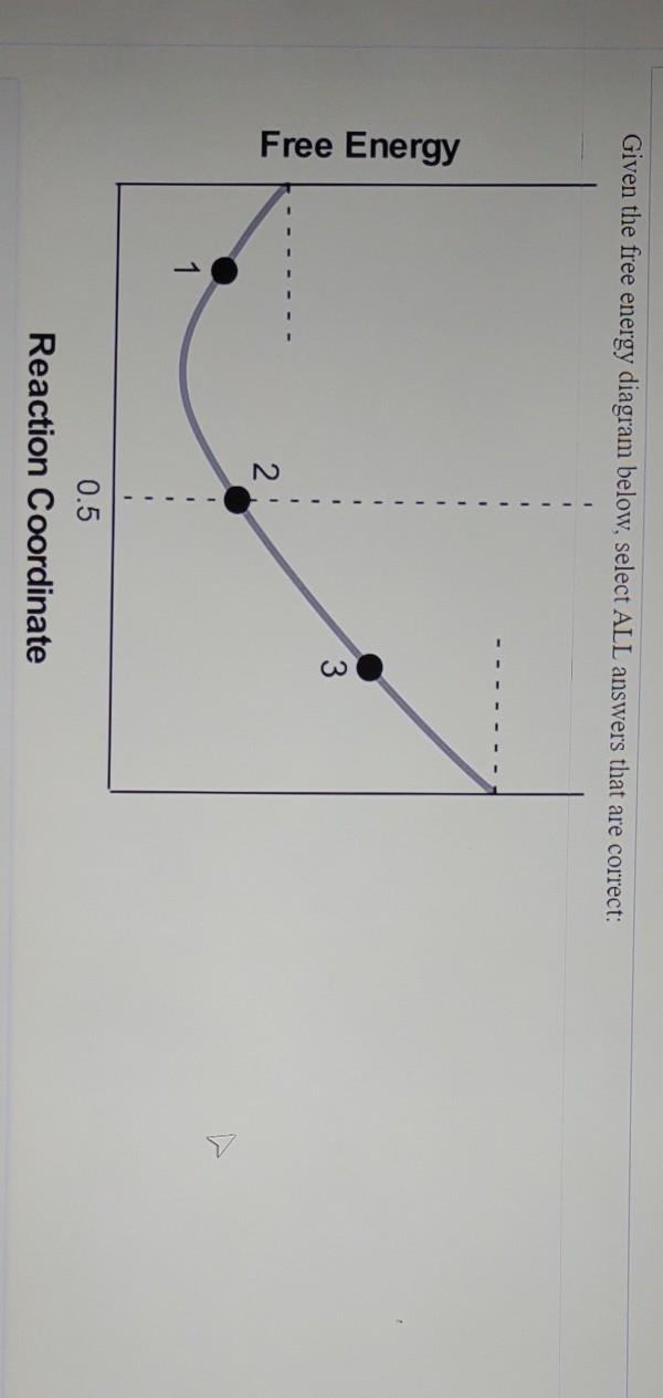 Solved Given the free energy diagram below, select ALL | Chegg.com