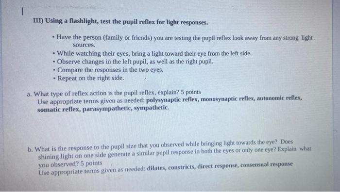 Solved T III) Using a flashlight, test the pupil reflex for | Chegg.com