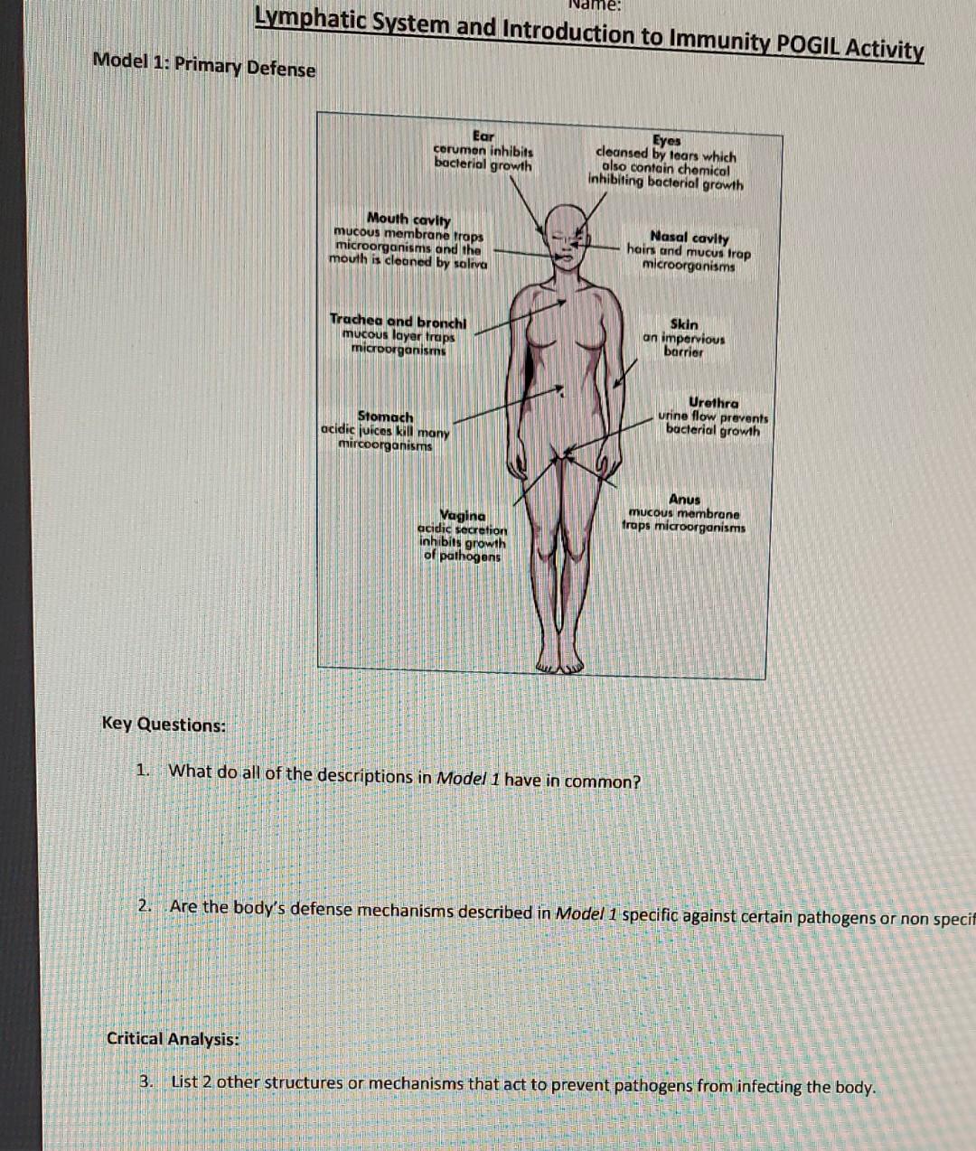 Solved Lymphatic System and Introduction to Immunity POGIL | Chegg.com