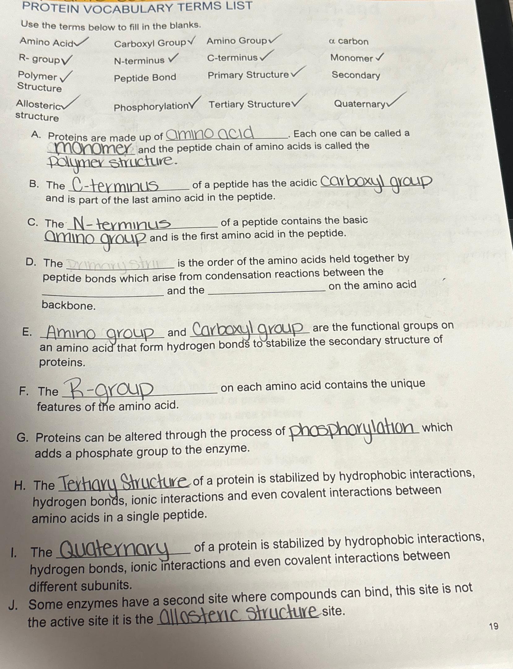 Solved PROTEIN VOCABULARY TERMS LISTUse the terms below to | Chegg.com