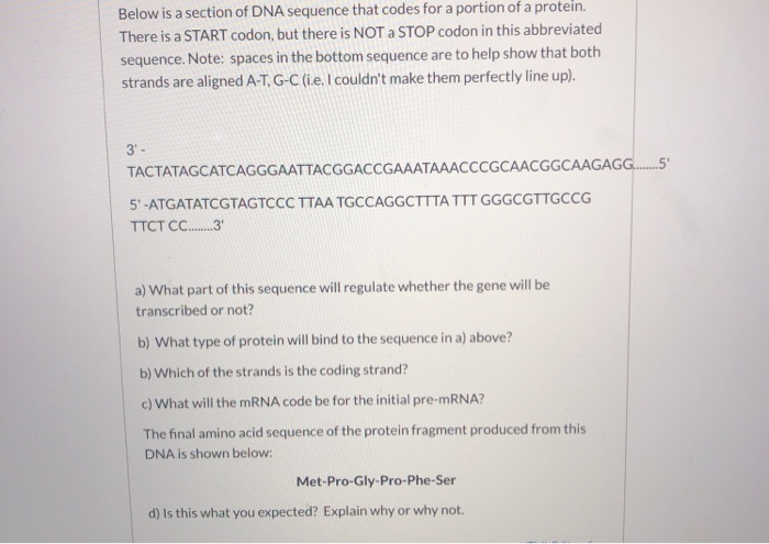 Solved Below is a section of DNA sequence that codes for a | Chegg.com
