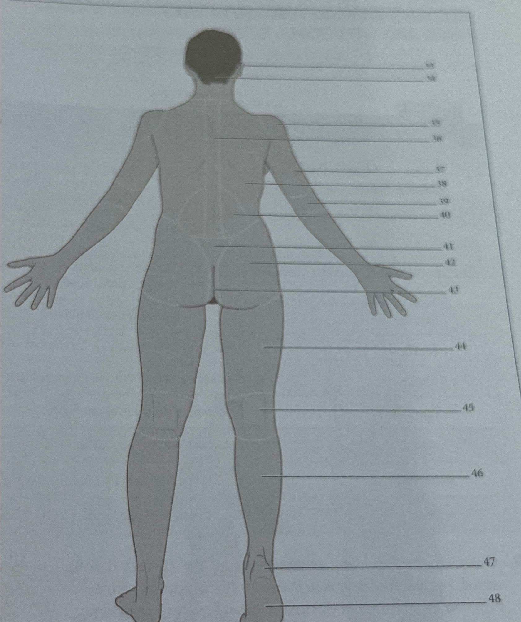 Solved Label all parts | Chegg.com