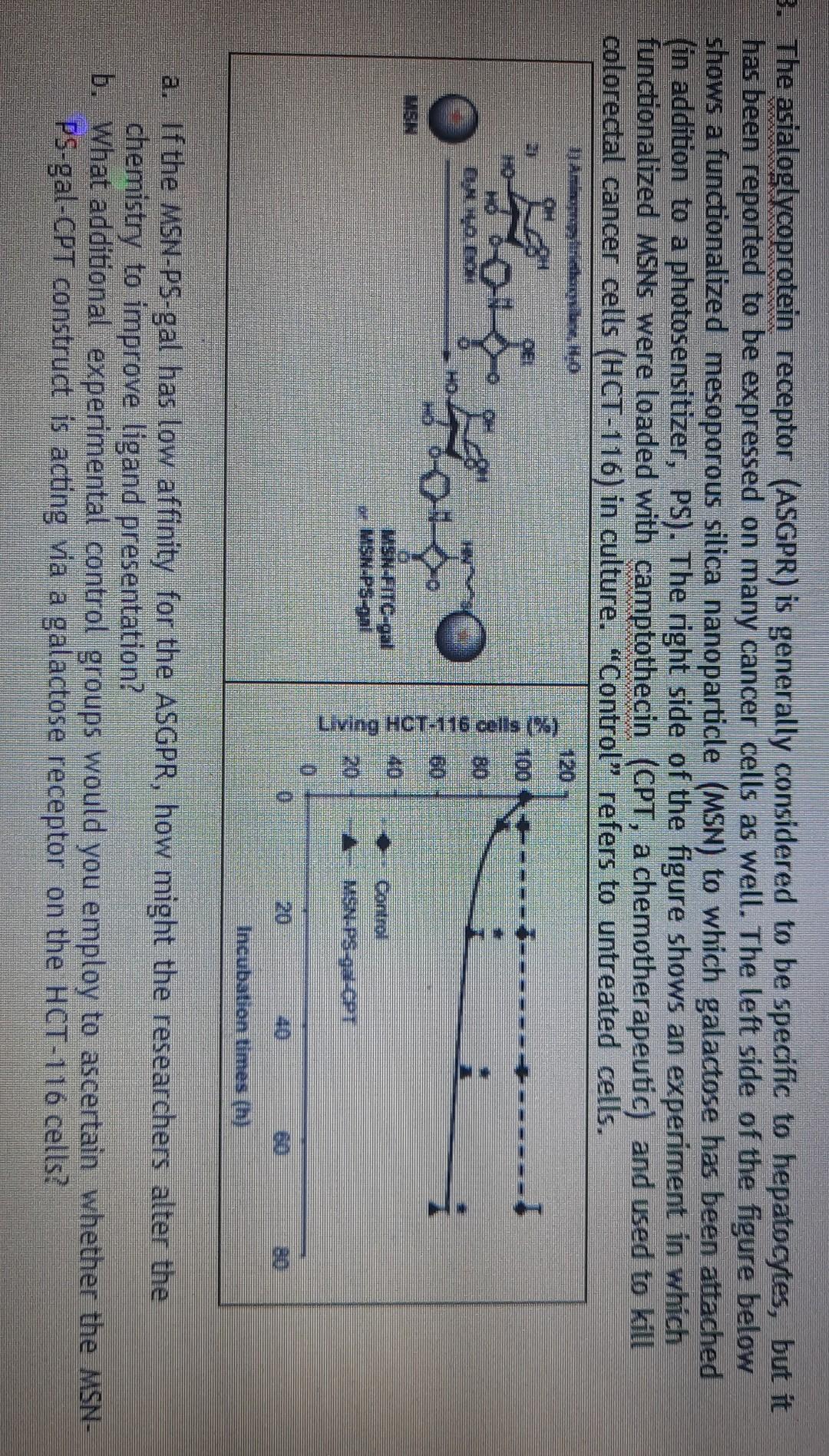 Solved 3. The asialoglycoprotein receptor (ASGPR) is | Chegg.com