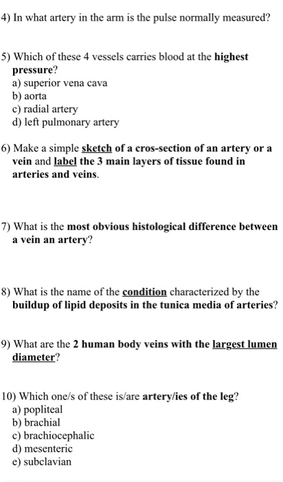 Solved Date... 1) Identify vessels in the model 2) Identify | Chegg.com