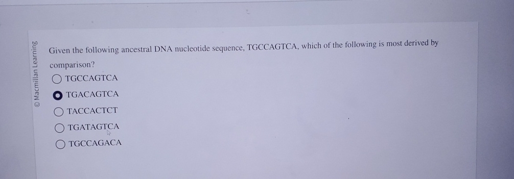 Solved Given the following ancestral DNA nucleotide | Chegg.com