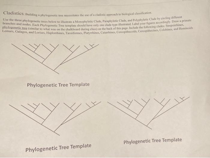 Cladistics: Building a phylogenetic tree necessitates | Chegg.com