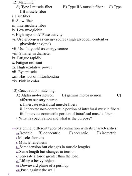 Solved 12) Matching: A) Type I muscle fiber B) Type IIA | Chegg.com
