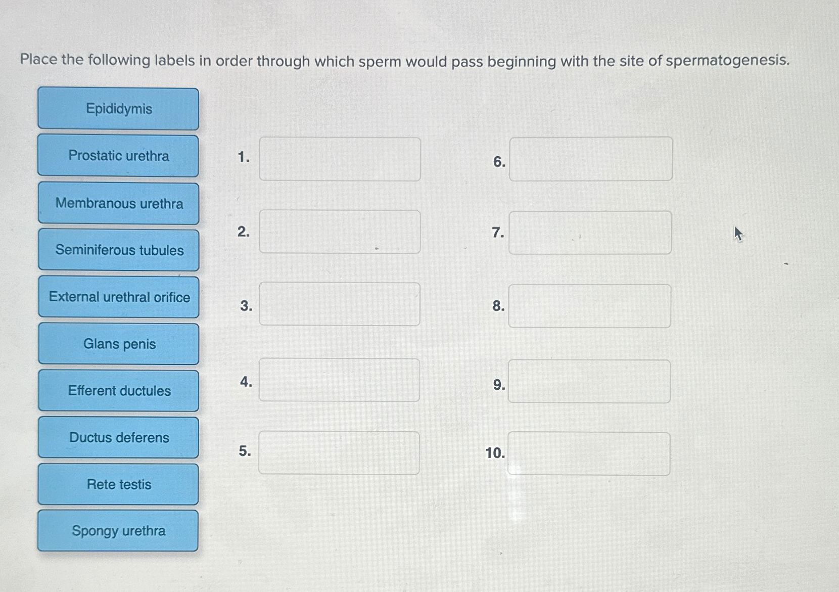 Solved Place the following labels in order through which | Chegg.com
