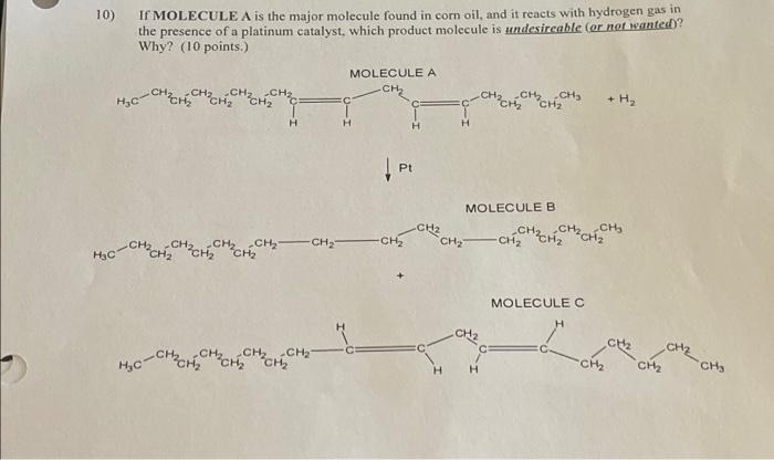 Solved If MOLECULE A is the major molecule found in corn | Chegg.com