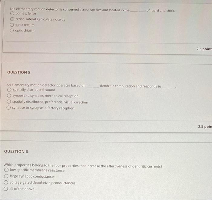 Solved of lizard and chick. The elementary motion detector | Chegg.com