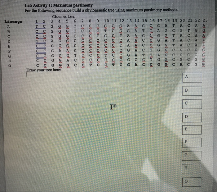 Solved Lab Activity 1: Maximum parsimony For the following | Chegg.com