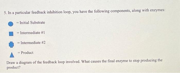 Solved 5. In a particular feedback inhibition loop, you have | Chegg.com