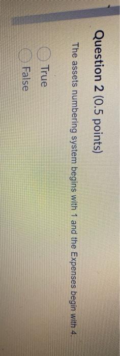 Solved Question 2 (0.5 points) The assets numbering system | Chegg.com