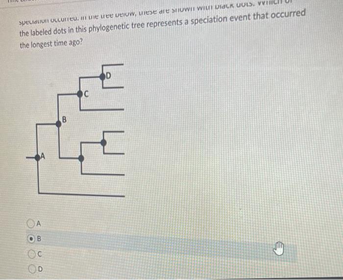 Solved the labeled dots in this phylogenetic tree represents | Chegg.com