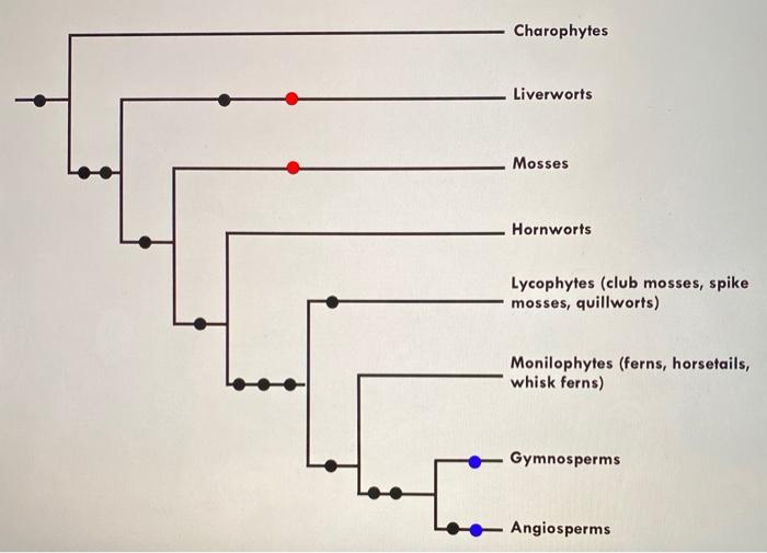Solved 12 Plant Group 1 1 1 1 1 1 Flavenoids O=No Flavenoids | Chegg.com