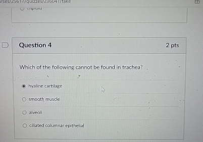 Solved Question 42 ﻿ptsWhich of the following cannot be | Chegg.com