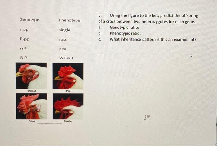 Solved 3. Using the figure to the left, predict the | Chegg.com