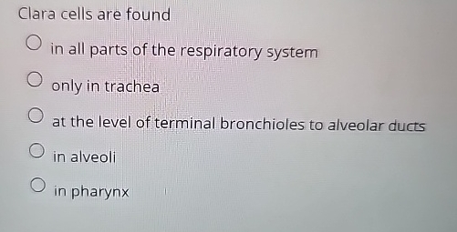Solved Clara cells are foundin all parts of the respiratory | Chegg.com