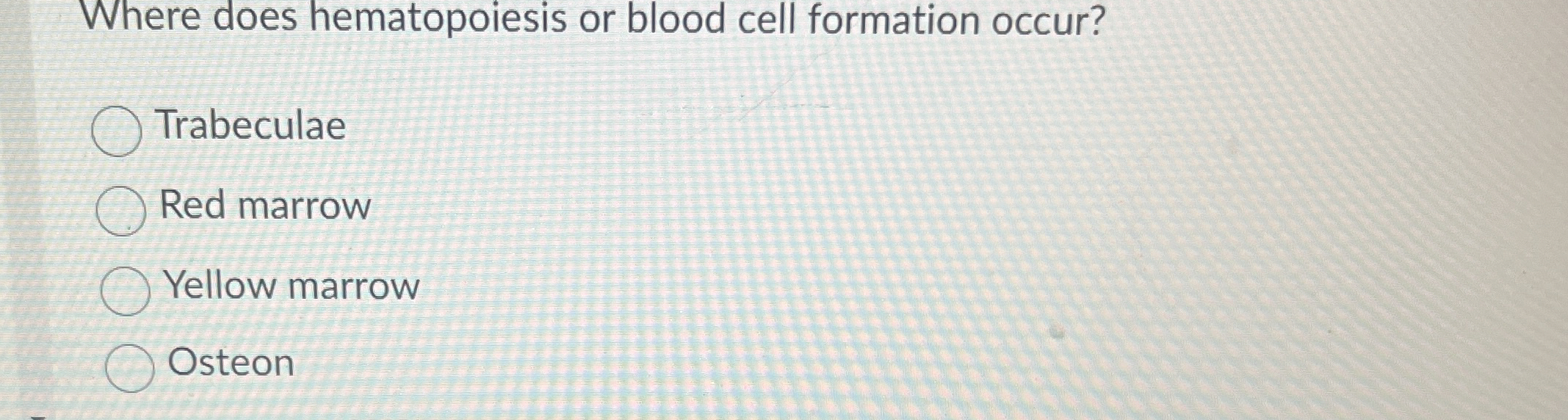 Solved Where does hematopoiesis or blood cell formation | Chegg.com