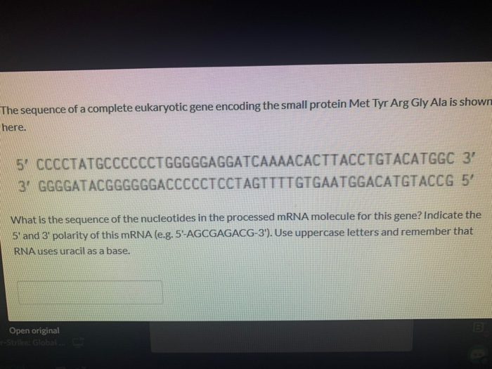 Solved The sequence of a complete eukaryotic gene encoding | Chegg.com