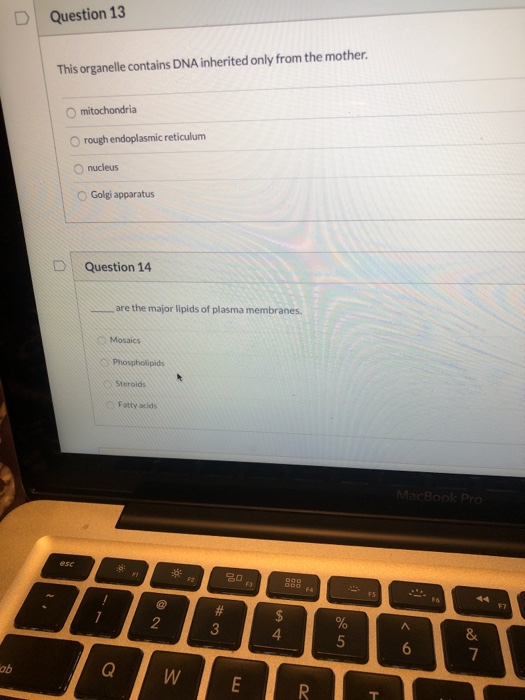 Solved Question 13 This organelle contains DNA inherited | Chegg.com