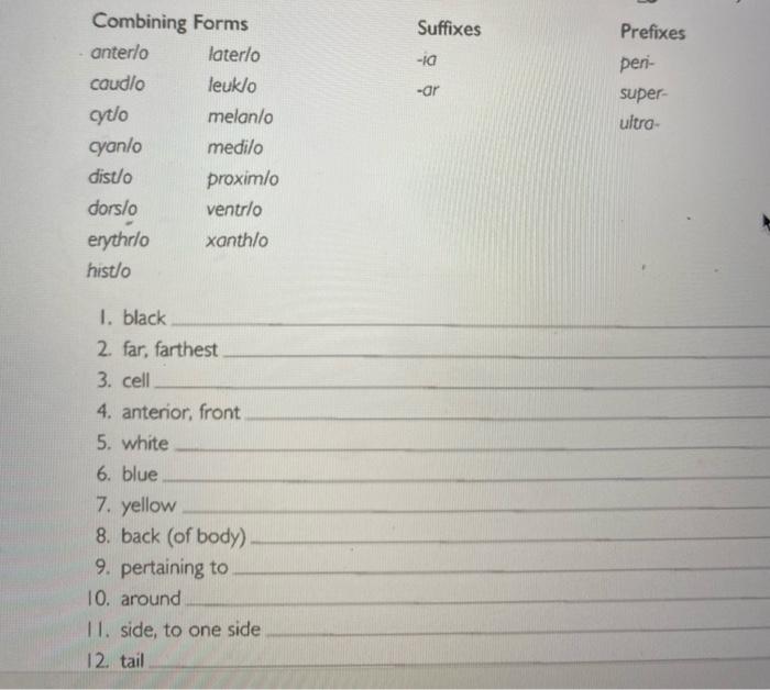 Solved Suffixes -ia Prefixes peri- super- ultra- -ar | Chegg.com