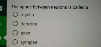 Solved The space between neurons is called | Chegg.com