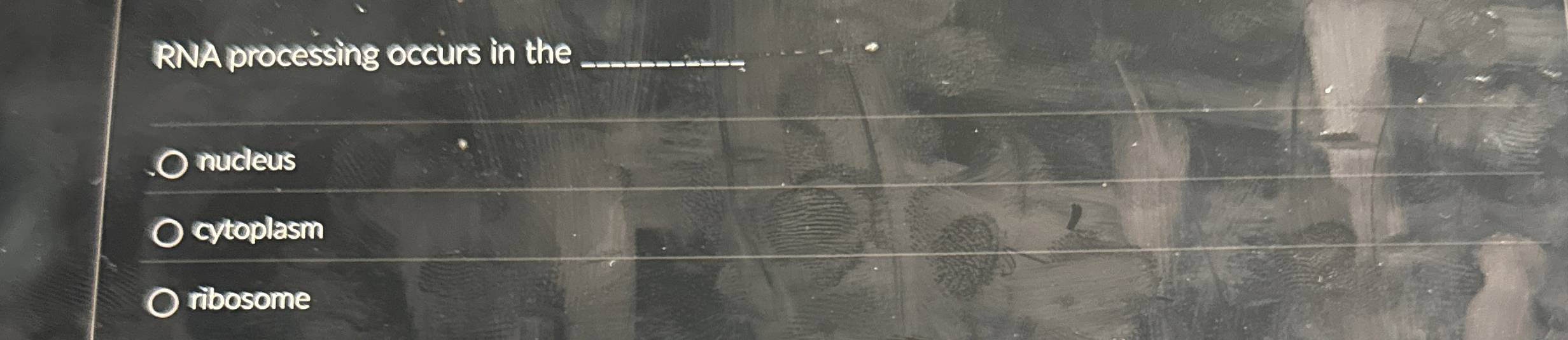 Solved RNA processing occurs in thenucleuscytoplasmribosome | Chegg.com