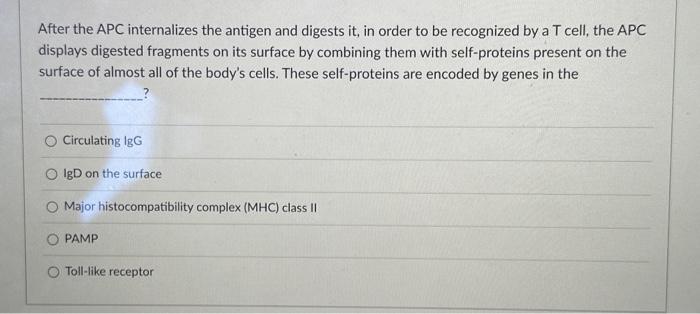 Solved After the APC internalizes the antigen and digests | Chegg.com