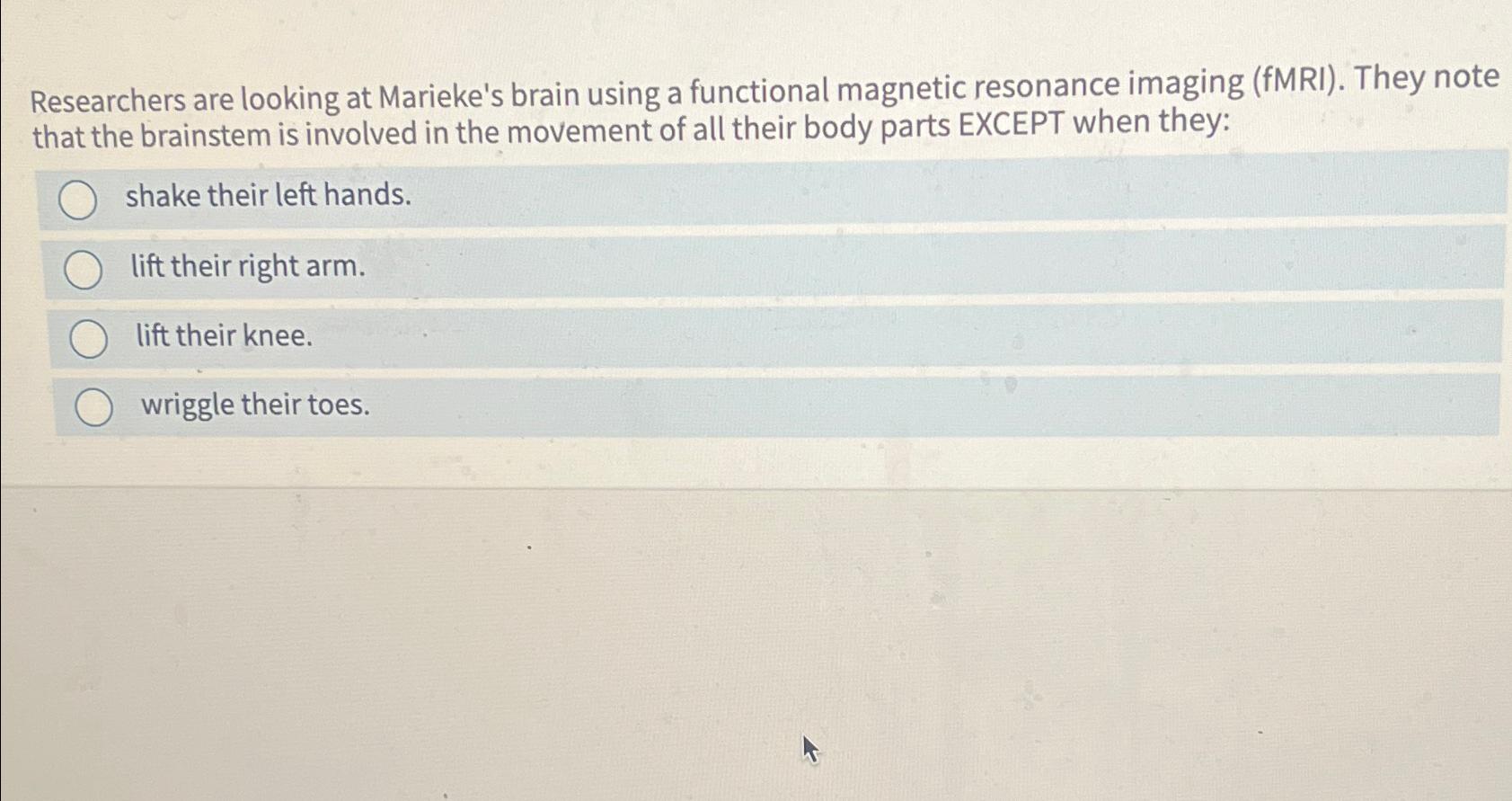 Solved Researchers are looking at Marieke's brain using a | Chegg.com