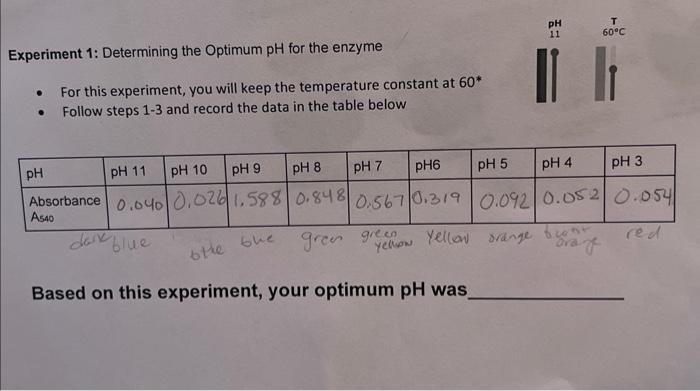 Solved Experiment 1: Determining the Optimum pH for the | Chegg.com