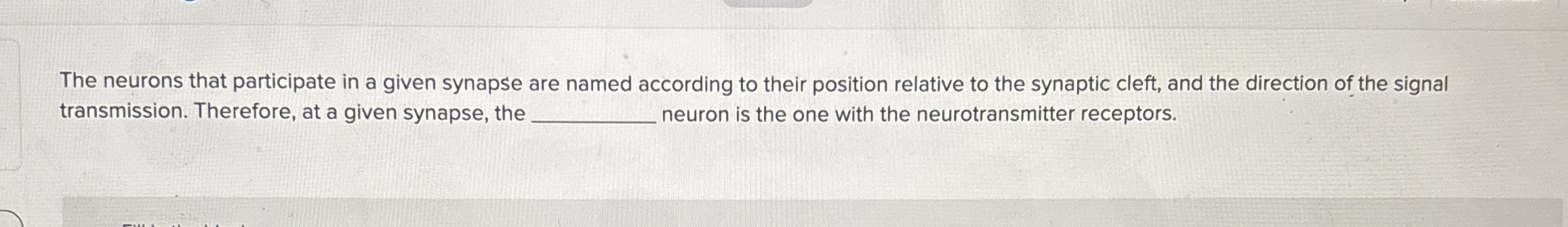 Solved The neurons that participate in a given synapse are | Chegg.com