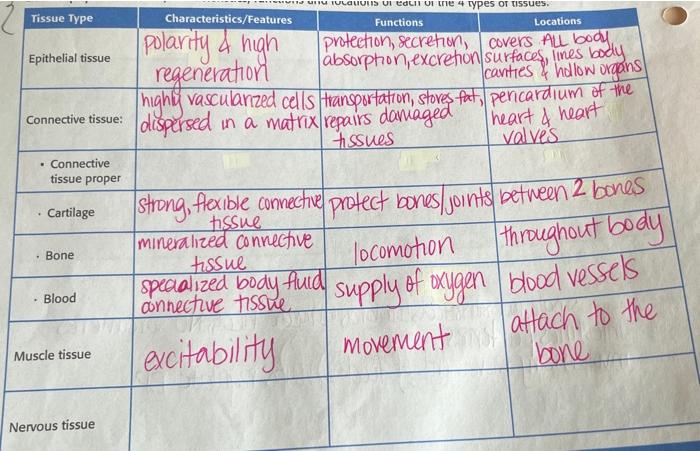 Solved I just need the nervous tissue part, please | Chegg.com