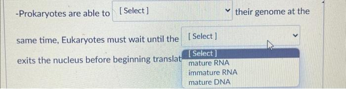 Solved 2. (Multiple drop downs) Please choose the | Chegg.com