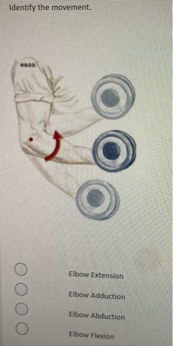 Solved Identify the movement. GOOD Elbow Extension Elbow | Chegg.com