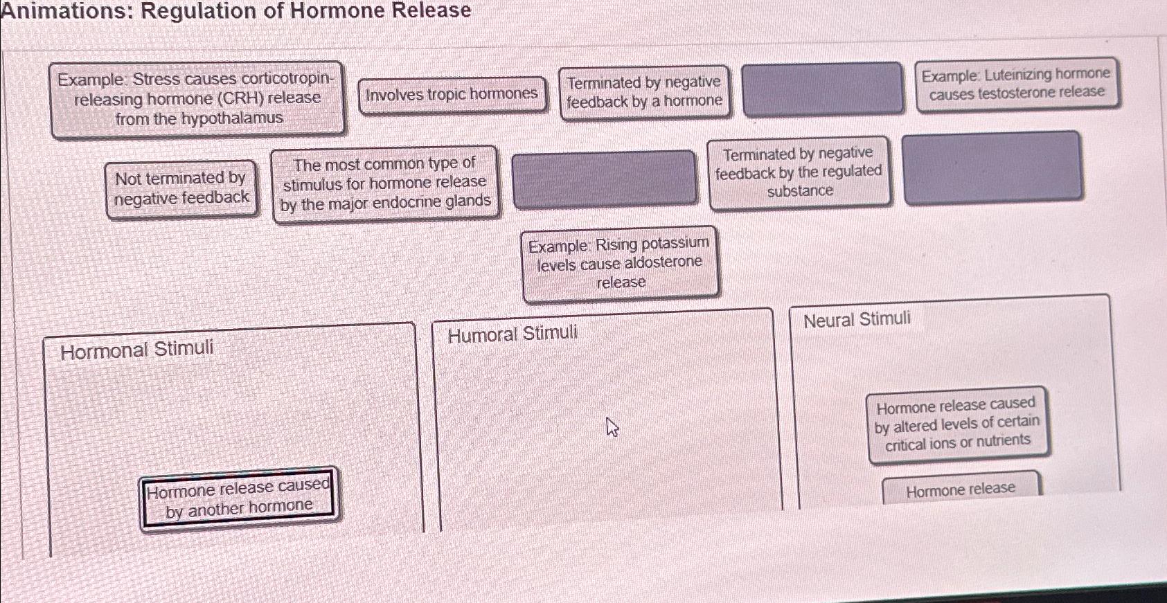 Solved Animations: Regulation of Hormone Release | Chegg.com