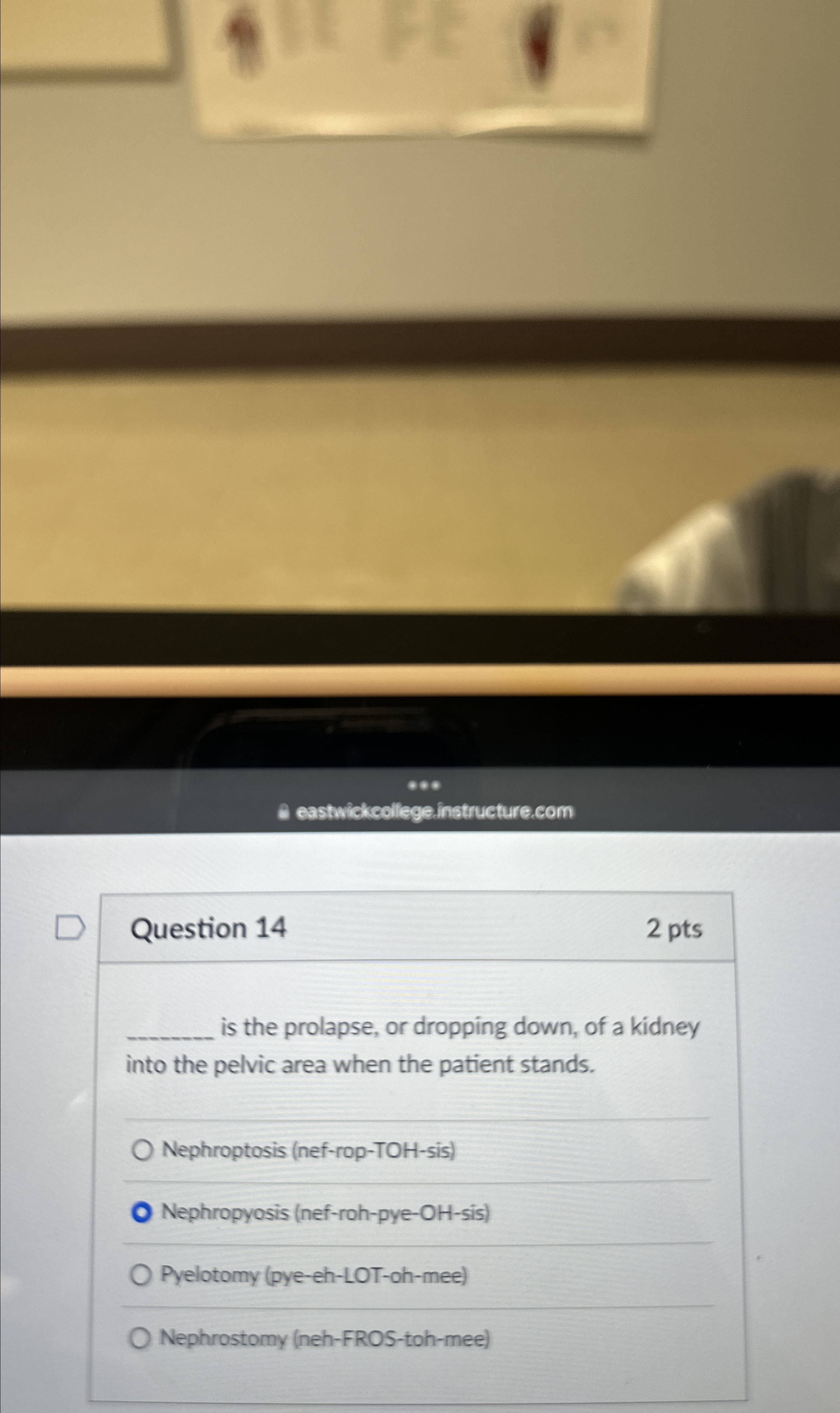 Solved eastwickedilege instructure.comQuestion 142 ﻿ptsq, | Chegg.com