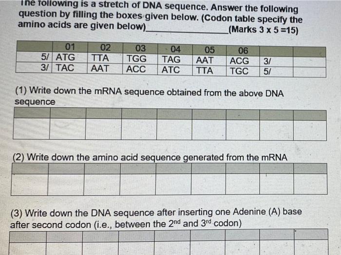 Solved The following is a stretch of DNA sequence. Answer | Chegg.com