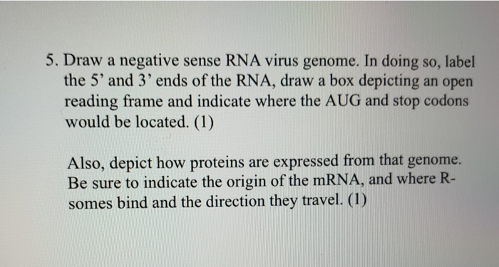 Solved 5. Draw a negative sense RNA virus genome. In doing | Chegg.com