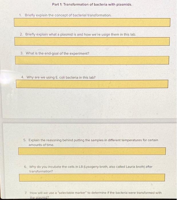 Solved 1. Briefly explain the concept of bacterial | Chegg.com